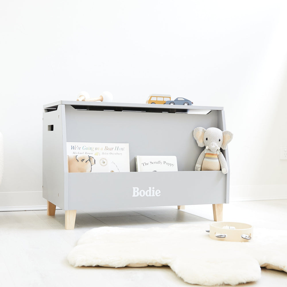 Buy Bodie Toy Storage Box with front bookshelf | HipKids Online