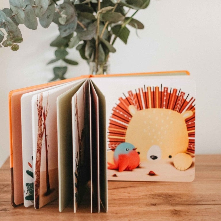 Buy Sassi Board Book - Chompy's Courage | HipKids Online