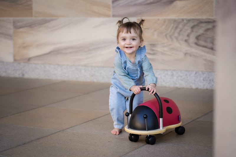 Buy Small Ladybug Wheely Bug – Shop This 360° Ride-On Toy | HipKids Online
